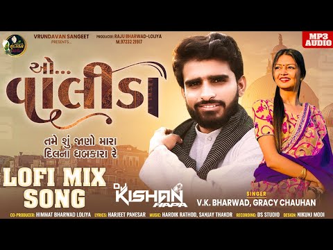 O Valida | Tame Su Jano Mara Dil Na Dhabkara Re | VK Bharwad | Gracy Chauhan |  Lo-fi Mix