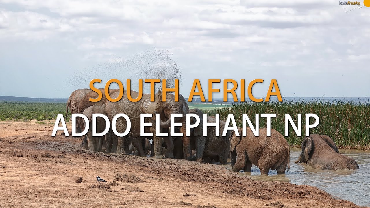 Addo Elephant National Park, Self drive | South Africa - YouTube