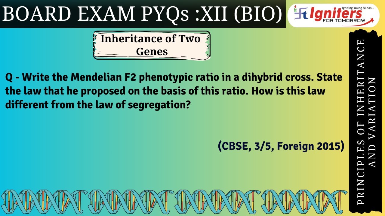 Write the Mendelian F2 phenotypic ratio in a dihybrid cross. State the ...