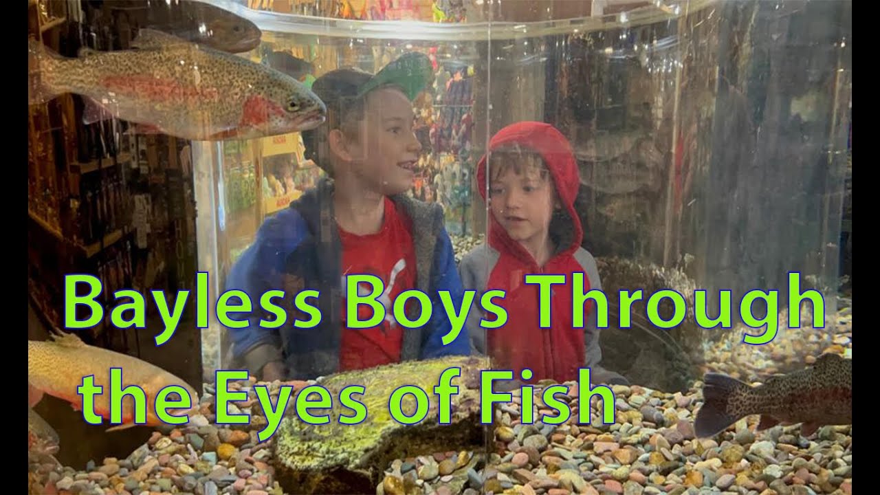 Montana Gift Shop Local Fish Aquarium ~ Blessed Bayless Family Journey ...