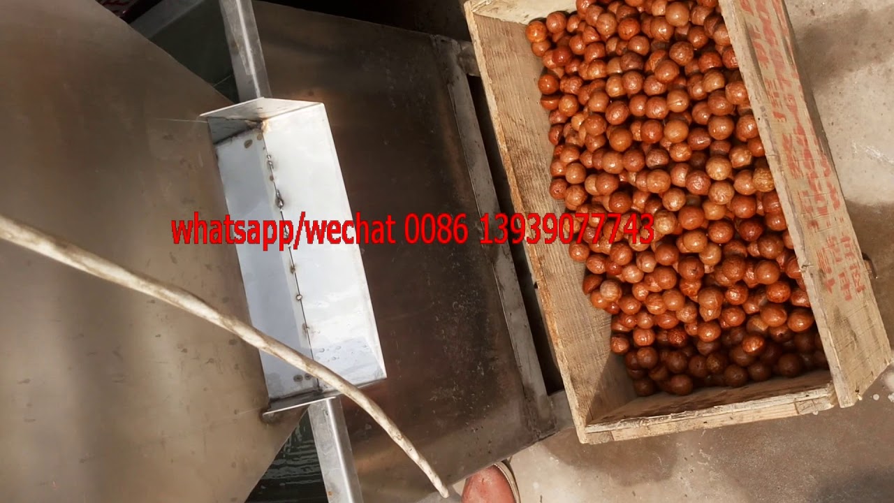 Macadamia Nut Water Floating Separating Separator Machine by Gravity ...