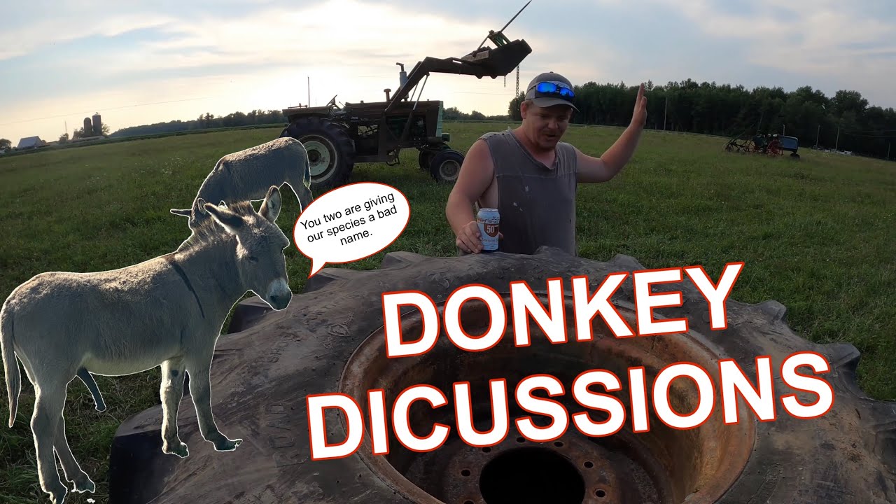 DONKEY DISCUSSIONS: Two Jackasses talking - YouTube