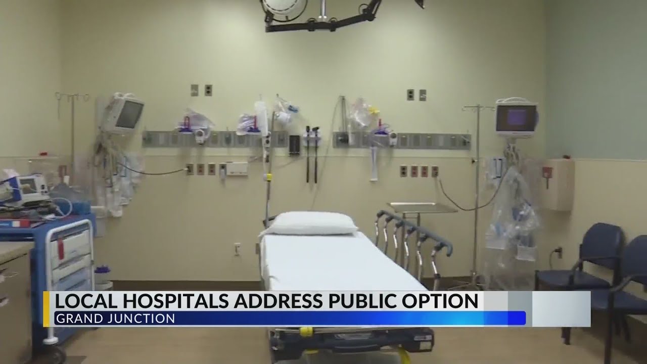 PUBLIC OPTION, LOCAL HOSPITALS COMMENT - YouTube