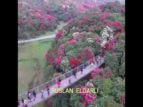 RUSLAN  ELDARLI __ YOXSAN YANIMDA TEK SEN  __ $eirin muellifi : RUSLAN  ELDARLI .