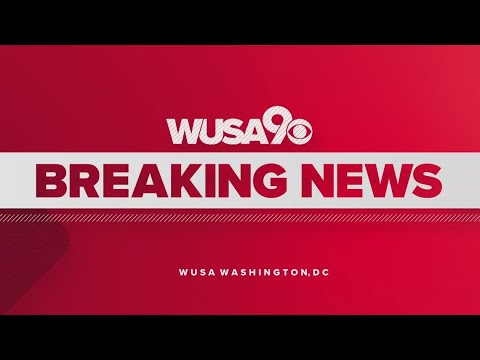 WUSA9 News Sunday at 6:30 p.m. - YouTube