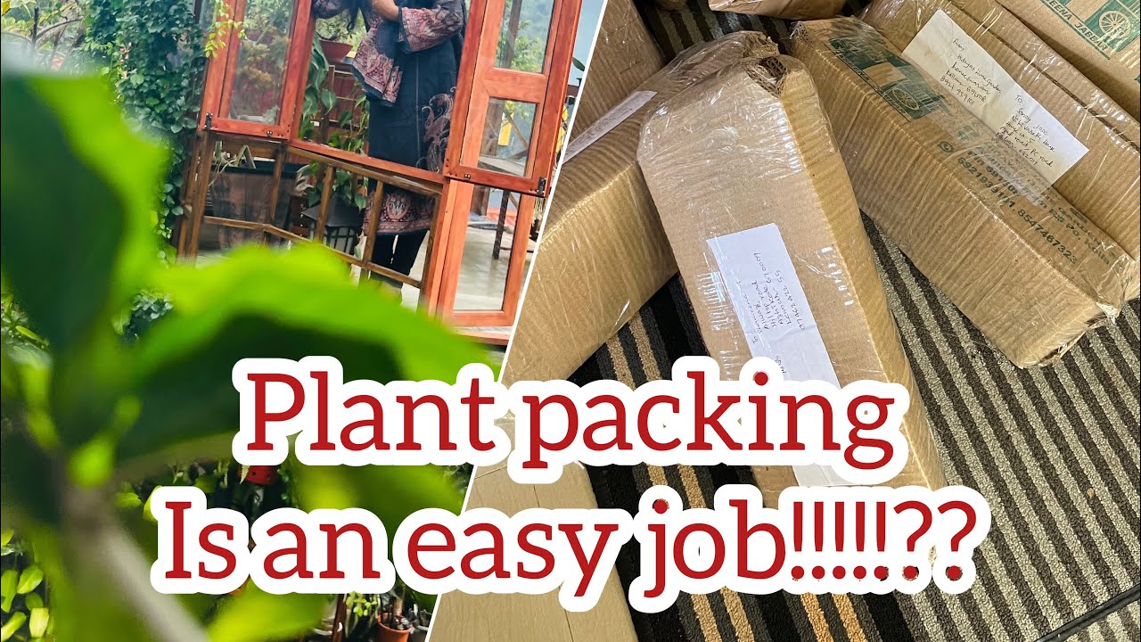 Live Plant packing methods - YouTube