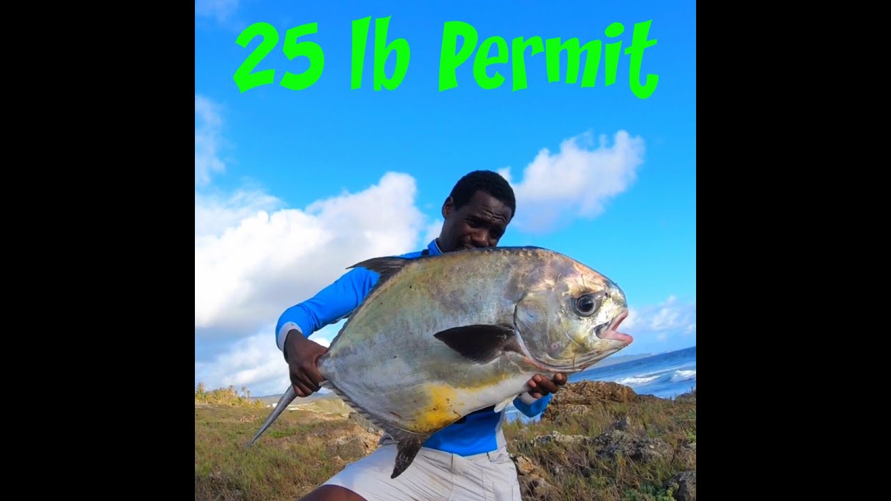 25 lb Permit - YouTube
