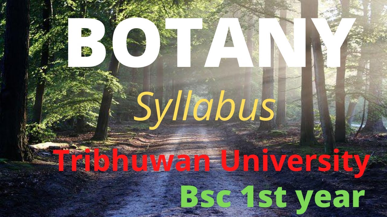 Bsc 1st Year Botany Syllabus Nepal YouTube bsc-1st-year-botany-syllabus-nepal-youtube