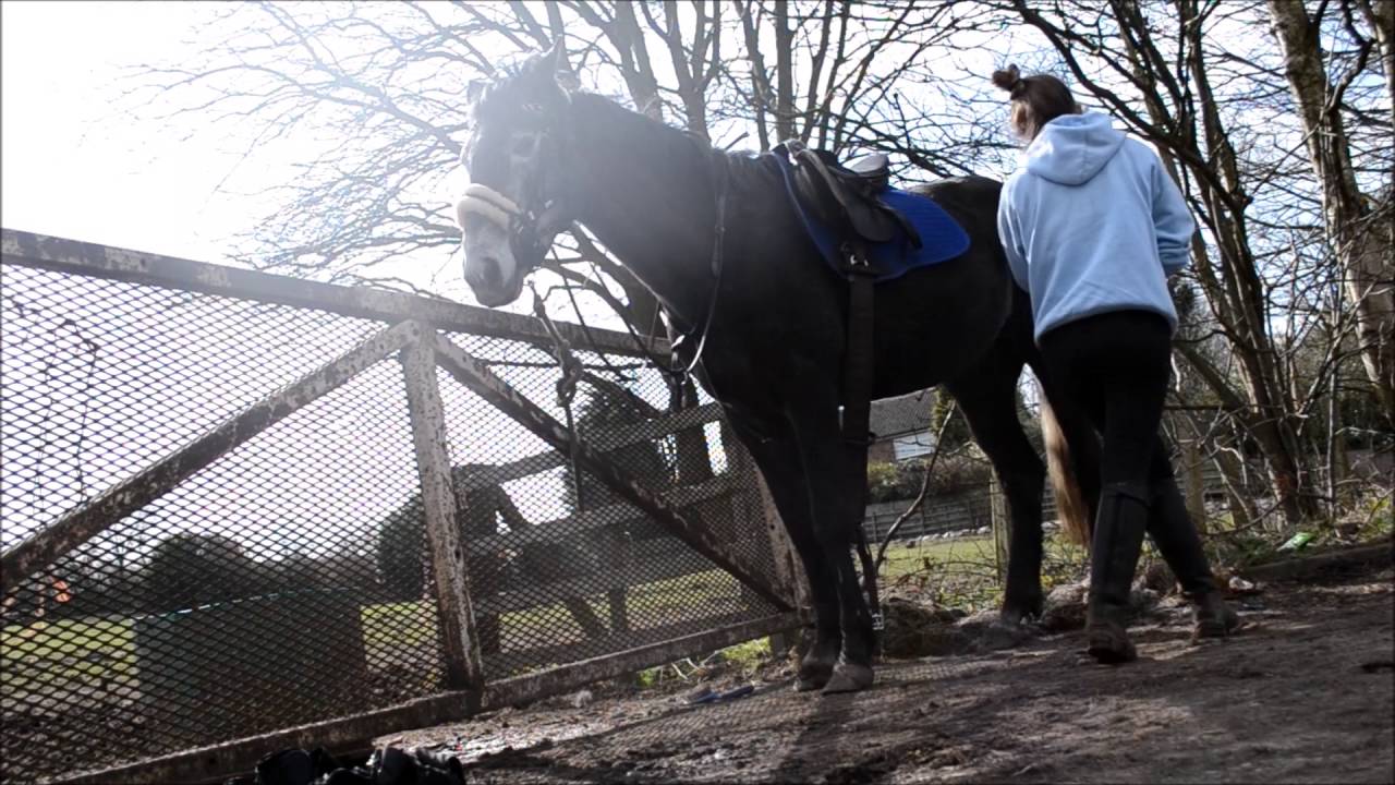Tack Up With Me [Spring Jumping] - YouTube