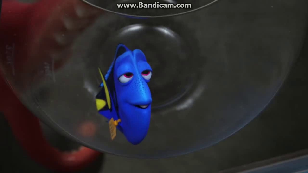 Finding Dory Scene 9 - YouTube