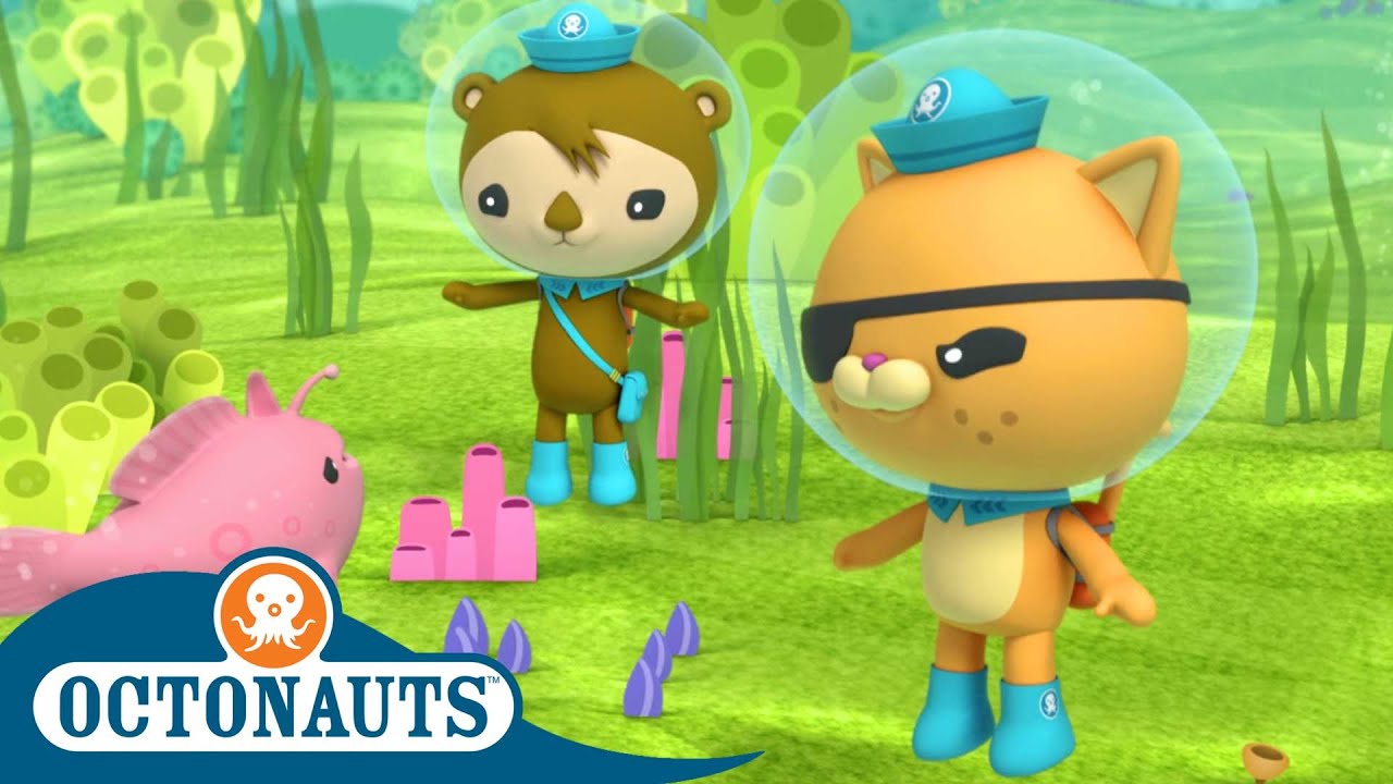 Octonauts - The Artificial Reef | Cartoons for Kids | Underwater Sea ...