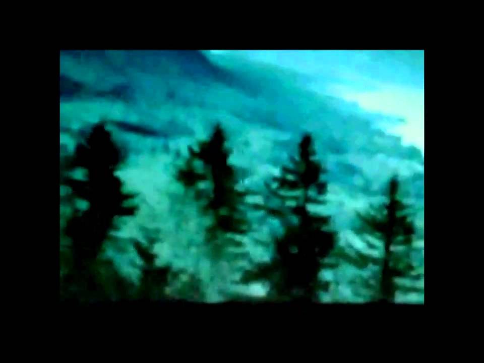 Tree Scene - YouTube