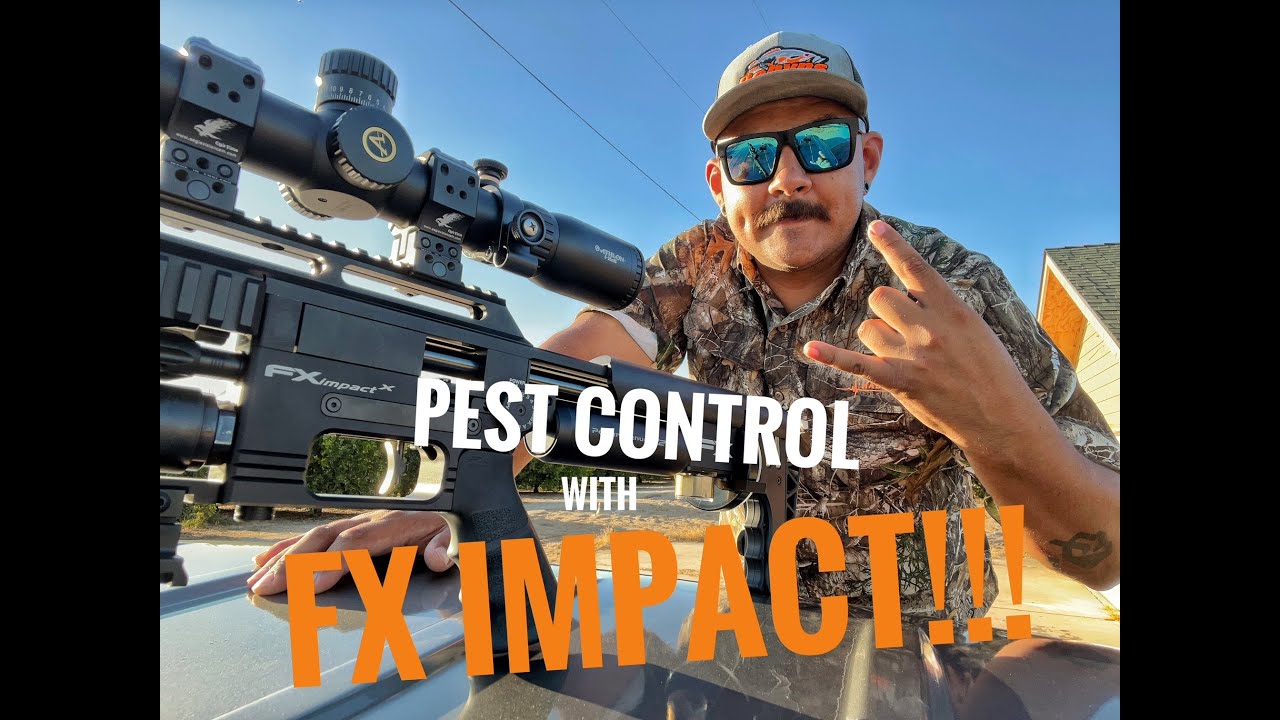 SQUIRREL HUNTING | FX IMPACT MKII 22 NSA SLUGS - YouTube