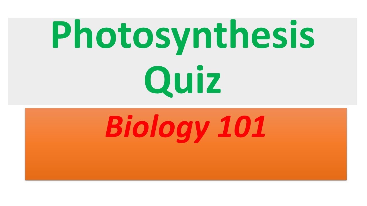 Biology Photosynthesis | Take this Photosynthesis Test | Biology 101 ...