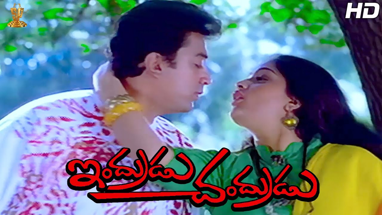 Indrudu Chandrudu Telugu Movie HD Song Promo--4 | This Friday on April ...