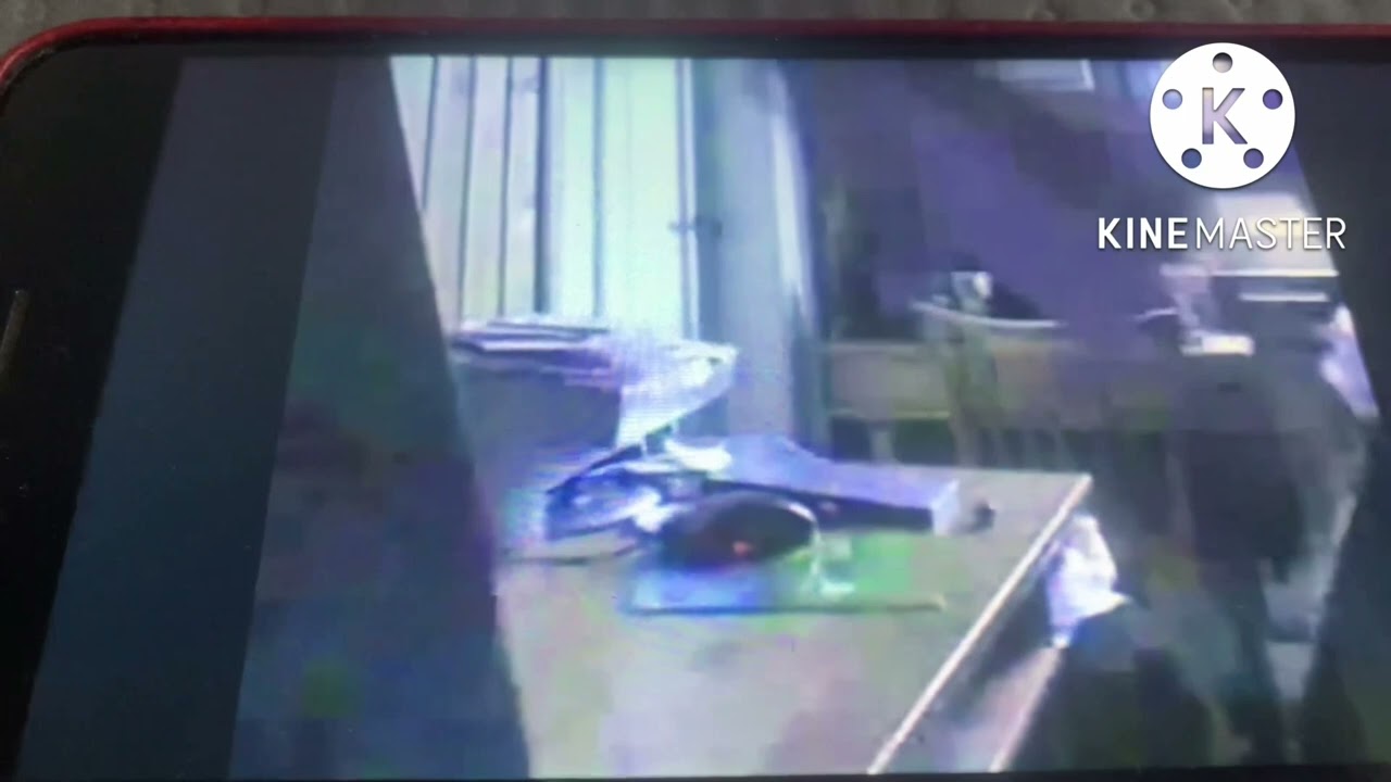 Angry German Kid Screaming (Free To Use) - YouTube