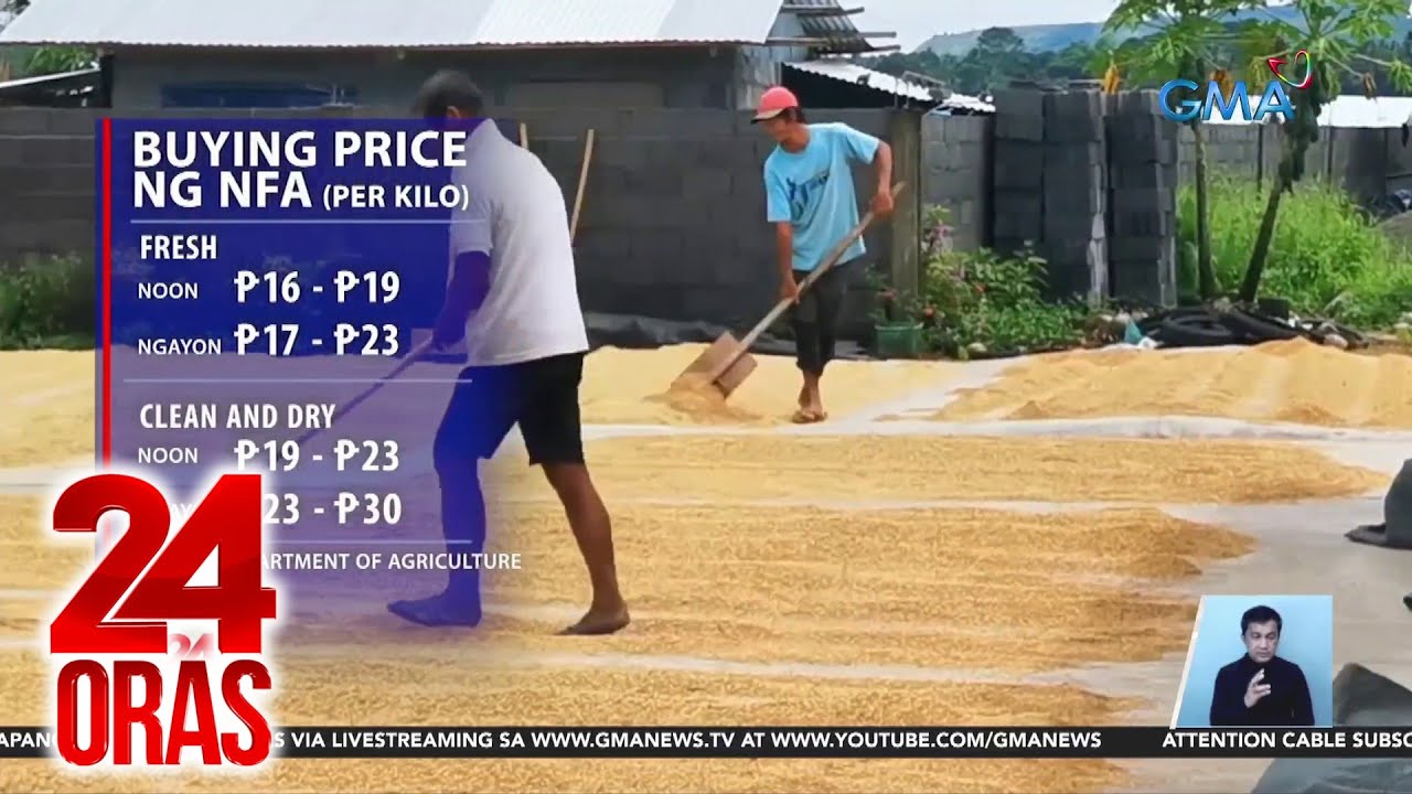 Pagtaas sa buying price ng palay, aprubado na ng NFA Council | 24 Oras ...