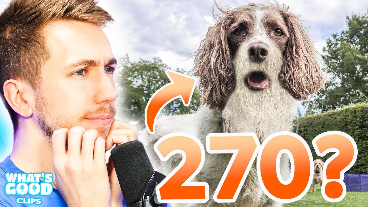Miniminter's Dog is 270 Years Old?? **COMMON MISCONCEPTIONS** - YouTube