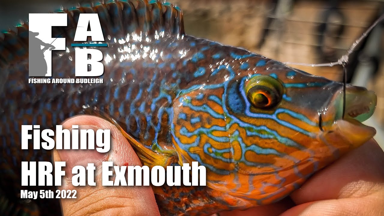 HRF Fishing at Exmouth - May 5th 2022 - YouTube