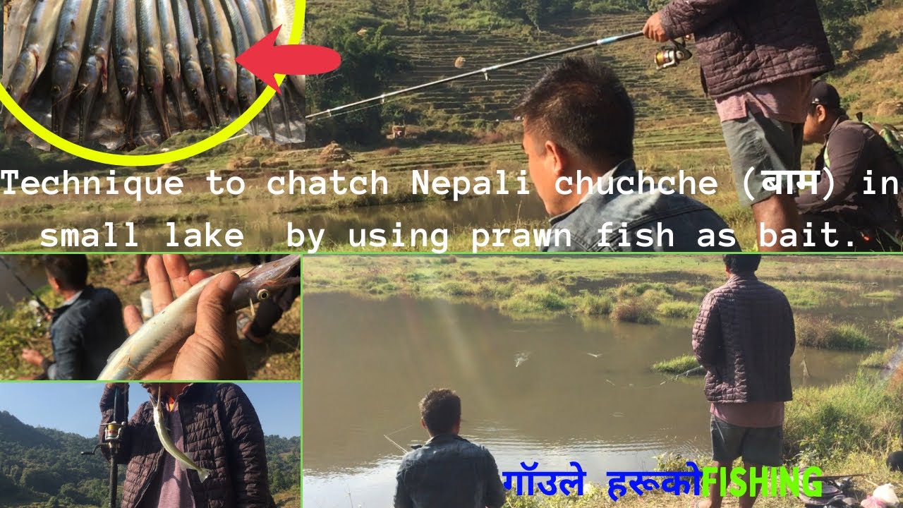 Villager Fishing//Incredible Fishing Ways//Nepali Chuchche Baam Fishing ...