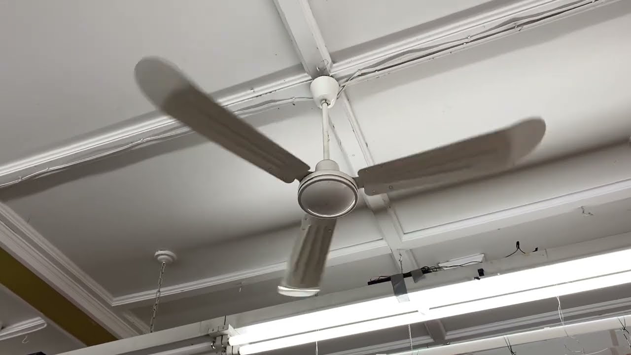Canarm CP56 Industrial ceiling fans at a convenience store - YouTube