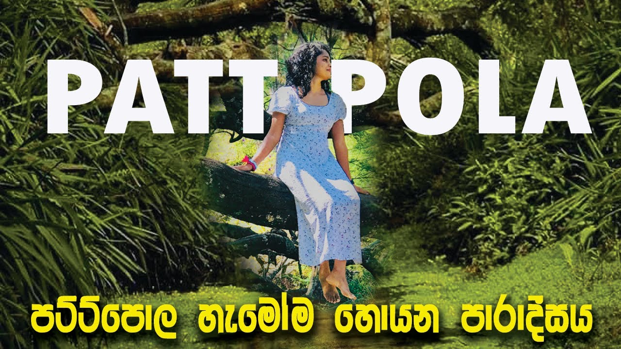 Pattipola | Hidden Places | Horton Plains | Nuwara Eliya | Travel to Travel sri lanka | VLOG #26 ...