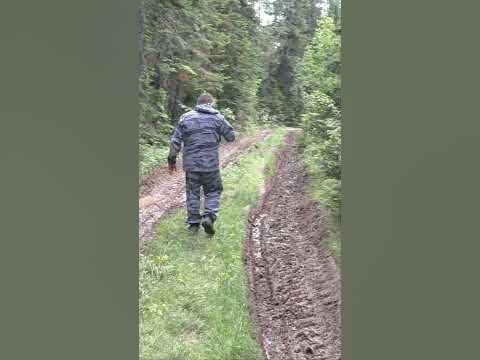 ЗАКОН ТАЙГИ !!! Не ставь КАПКАН на Себя !!! #иииразум #выживалово # ...