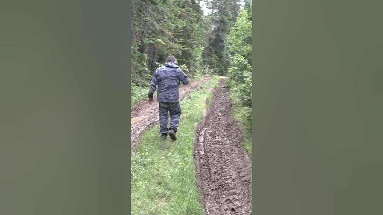 ЗАКОН ТАЙГИ !!! Не ставь КАПКАН на Себя !!! #иииразум #выживалово # ...
