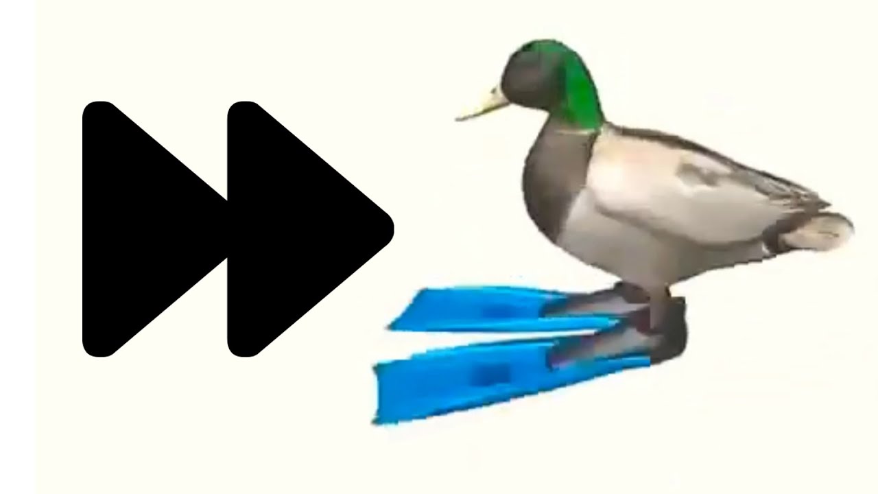 Rotating duck but its gradually speeding up from 0 to 400% - YouTube