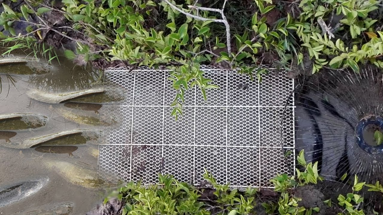 Amazing! Extremely Creative Boy Dig Deep Hole Fish Trap Using Fan Guard ...