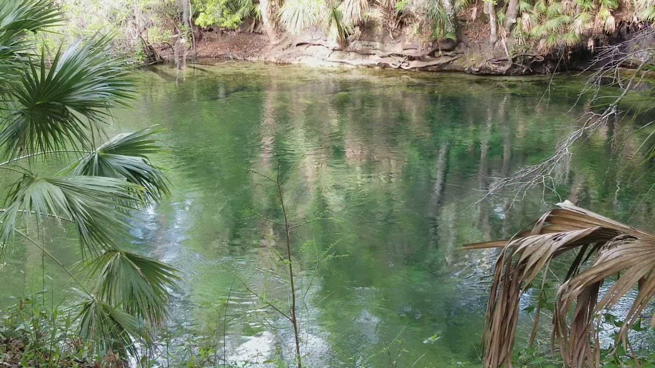 Gars Jumping at Blue Springs - YouTube