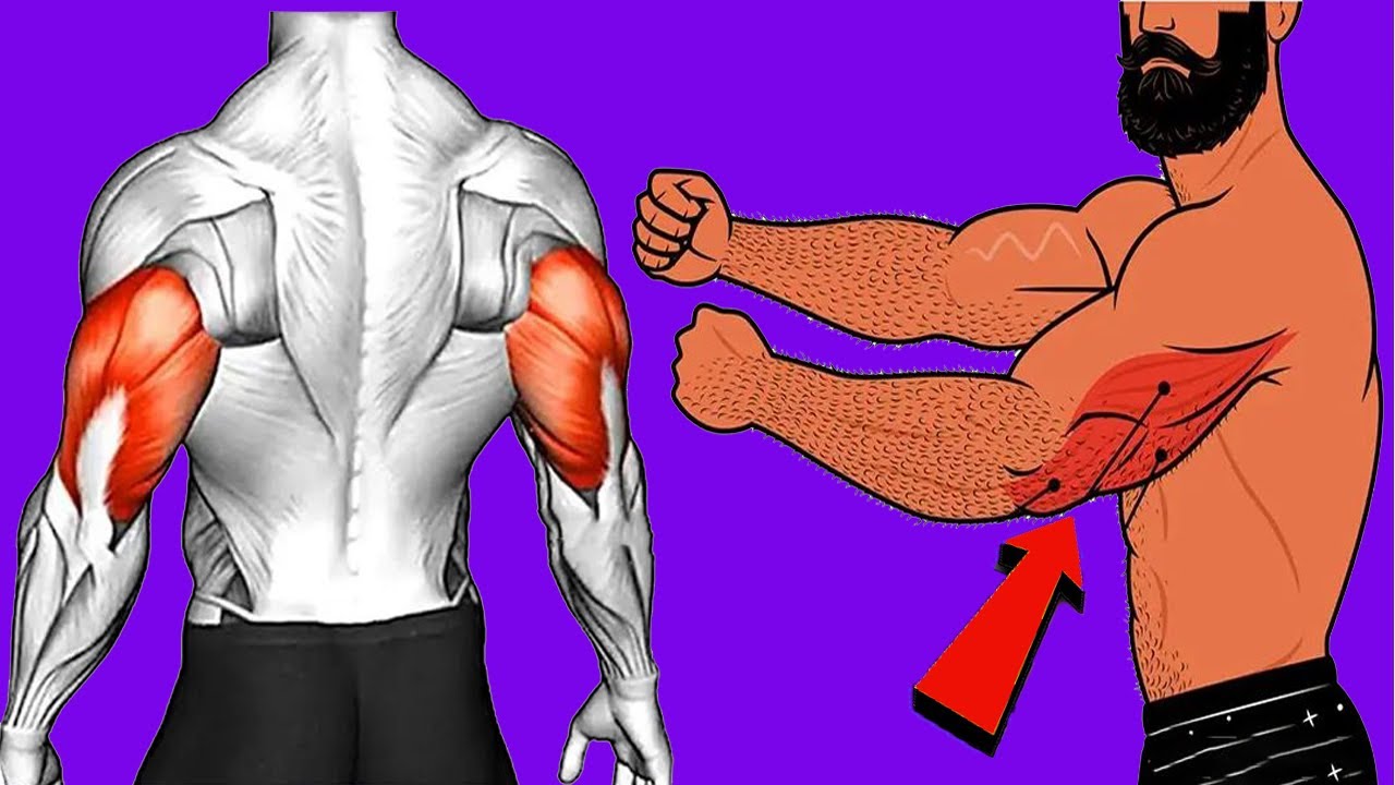 triceps workout: 5 easy exercises to bulk up the back of the arms - YouTube