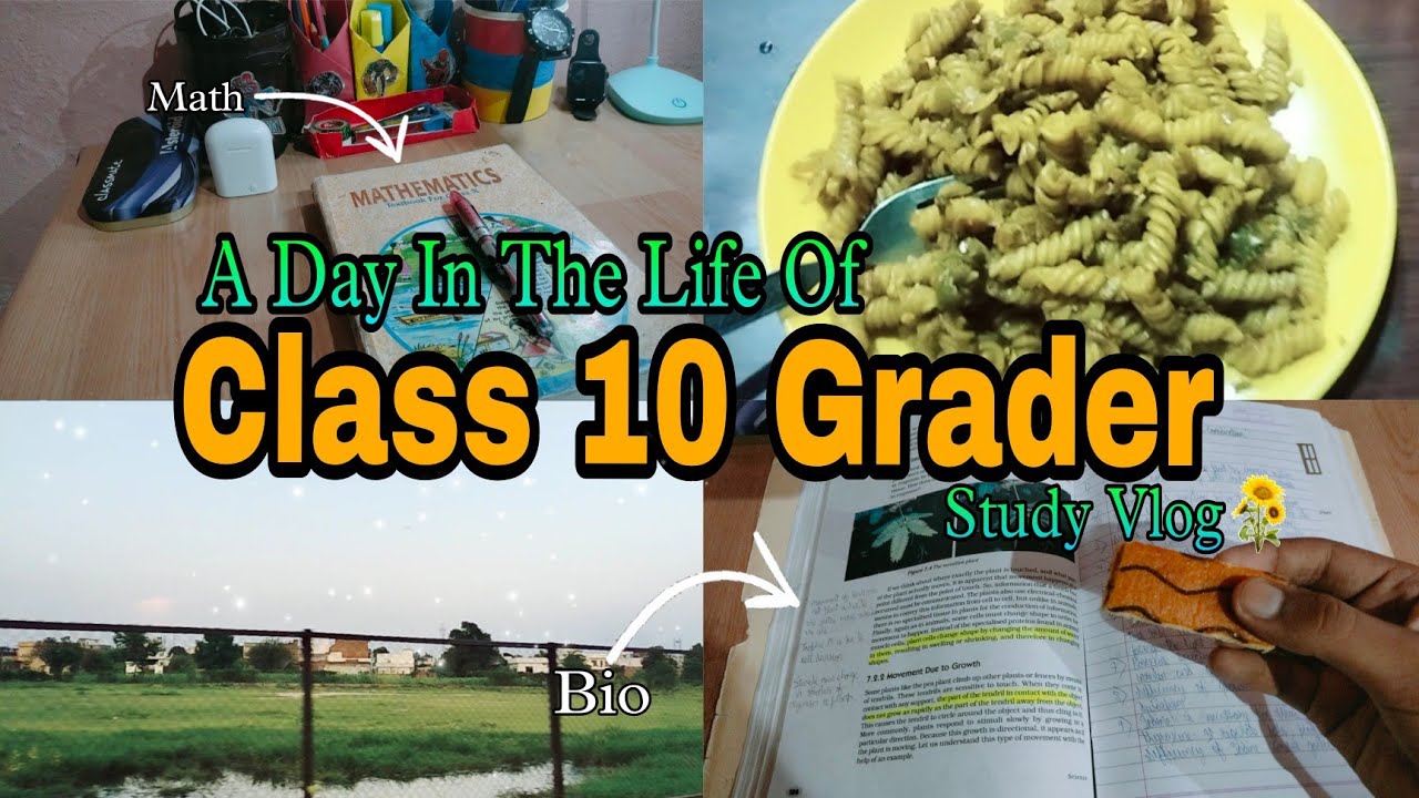 An Honest Day in The Life Of Class 10 Grader📚 | Mid Term Exam Week | Cbse 10th Grader Study Vlog ...