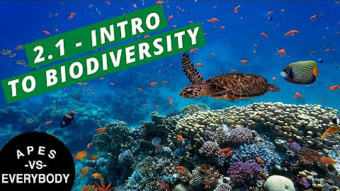 Unit 2 AP Environmental Science - Biodiversity - YouTube