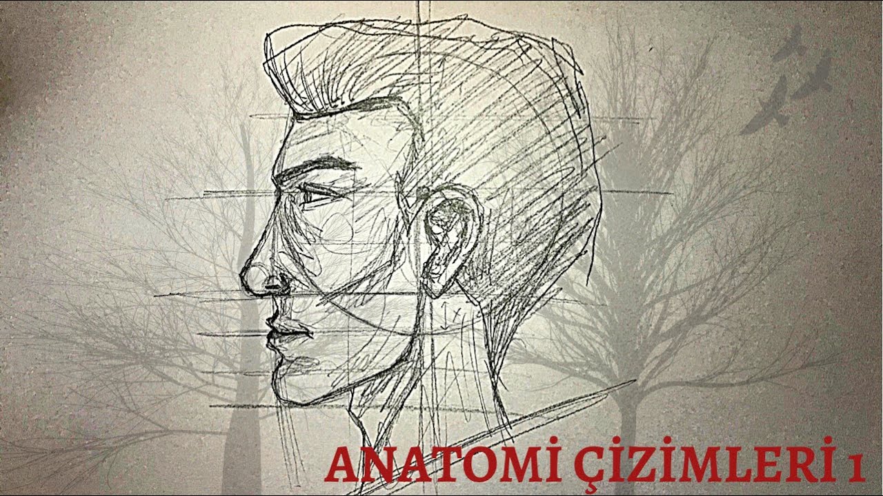 KAFA ÇİZİMİ #ANATOMİ #HOWTODRAW - YouTube