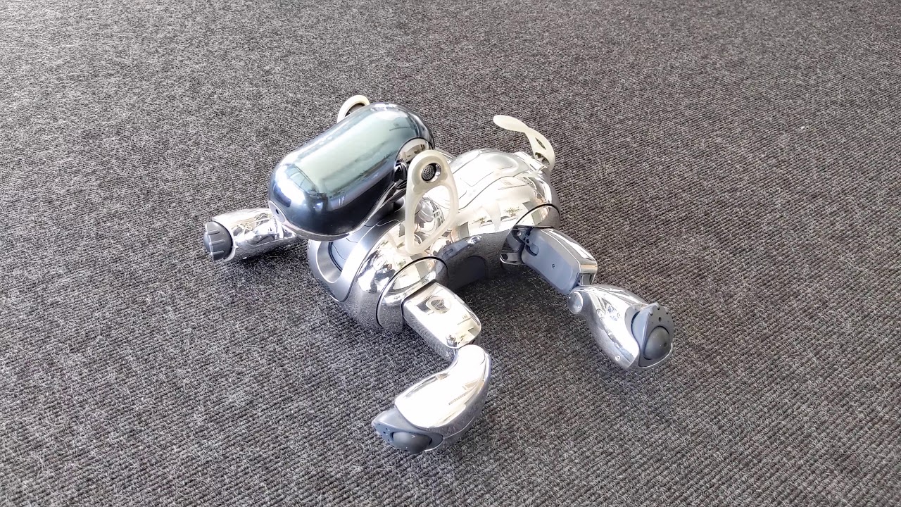 Sony Aibo ERS 7 System Start - YouTube