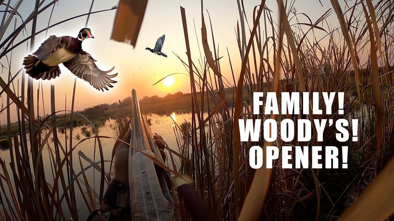 First Week of Hunting at Motion Ducks - OPENER - WOOD DUCKS - YouTube