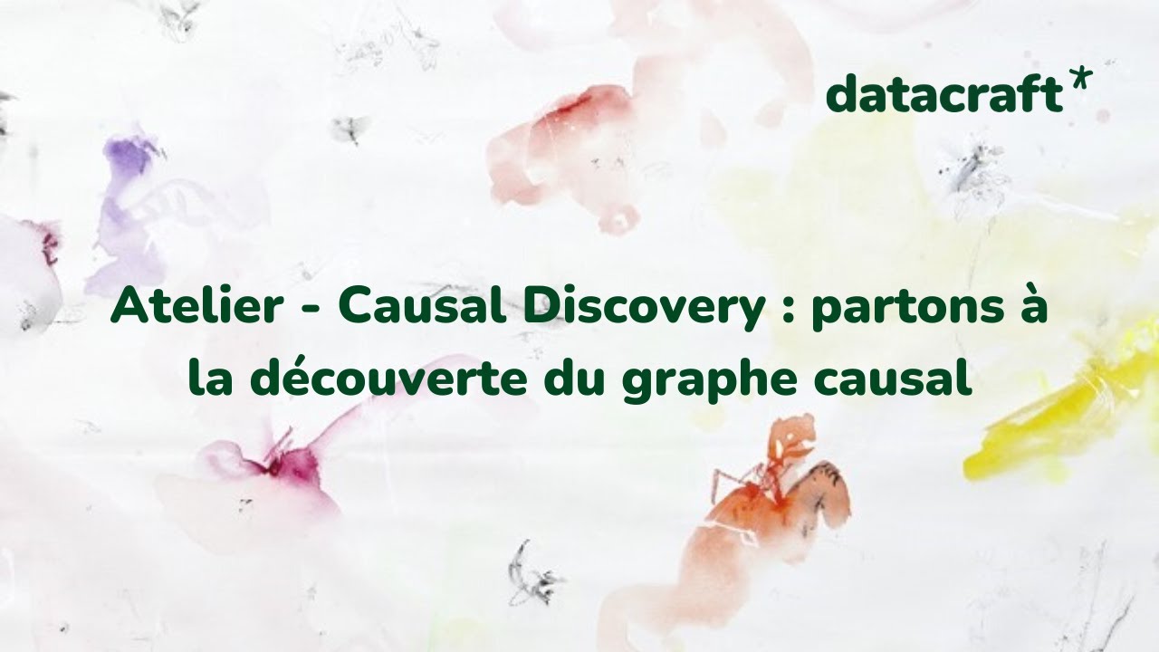 Causal Discovery : à la découverte du graphe causal - YouTube