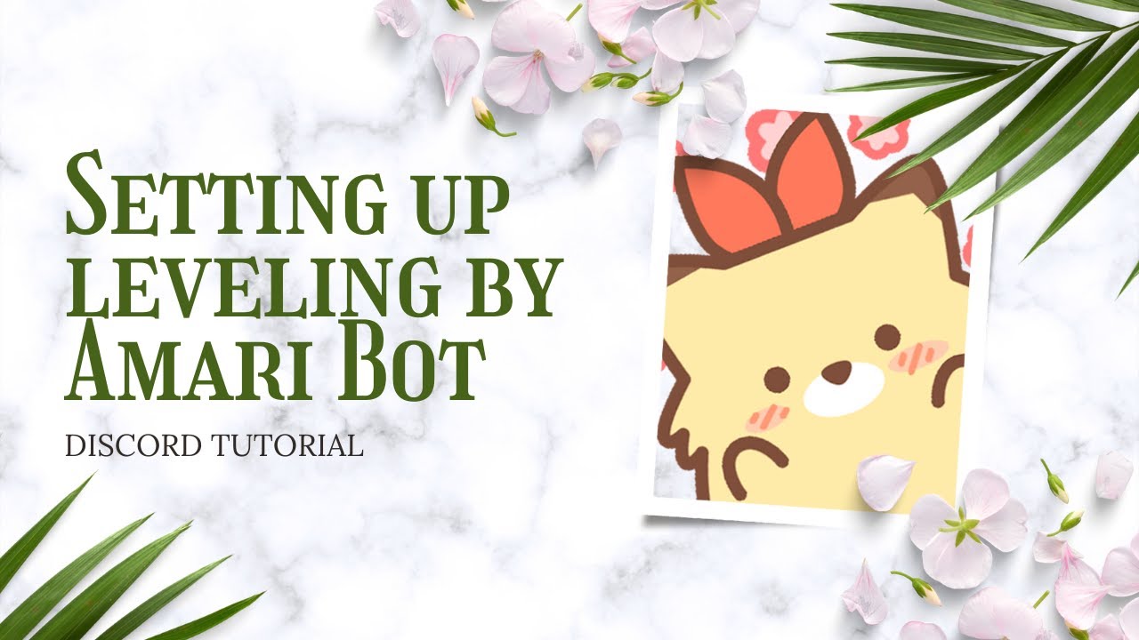 How to set up levels in your server using AmariBot - YouTube