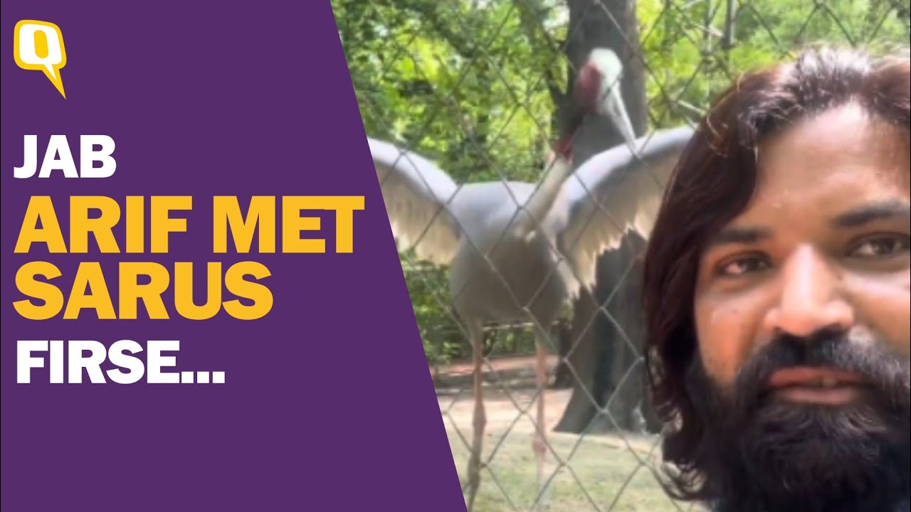 Moment When Arif Met Sarus Again Will Melt Your Heart... - YouTube