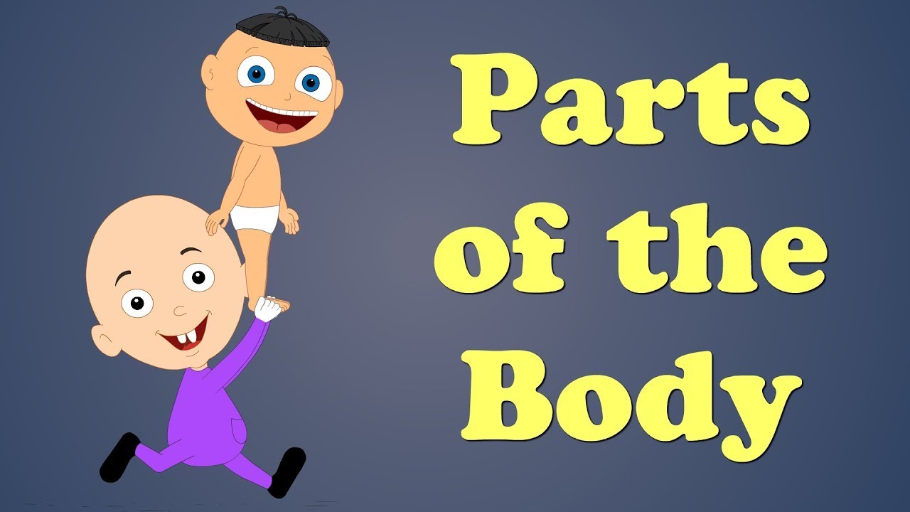 My body,S.studies class class one,upper portion of body,middle portion ...