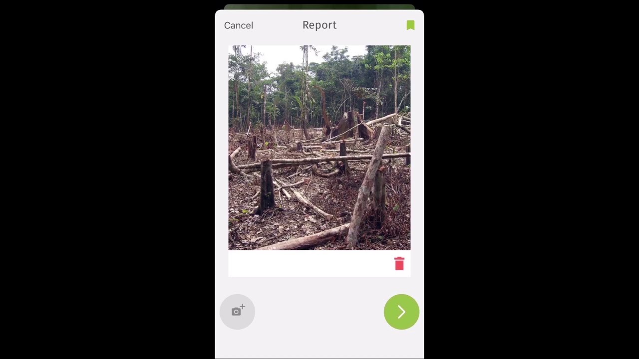 Démonstration de l'application mobile Forest Watcher - YouTube