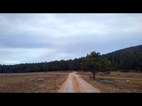 Geceme Bir Ay Gibi | Nurullah Genç
