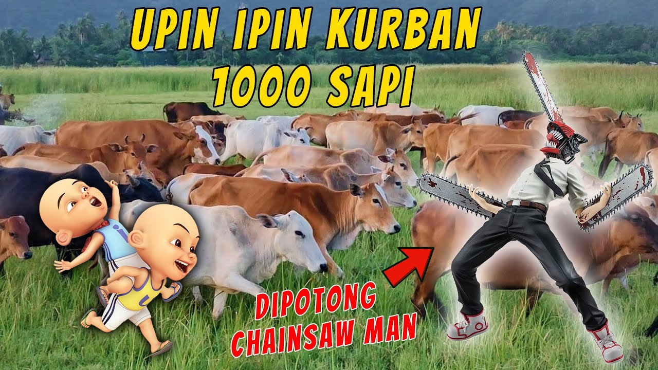 UPIN IPIN MEMBELI SERIBU SAPI KURBAN IDUL ADHA DI PUTONG OLEH CHAINSAW ...
