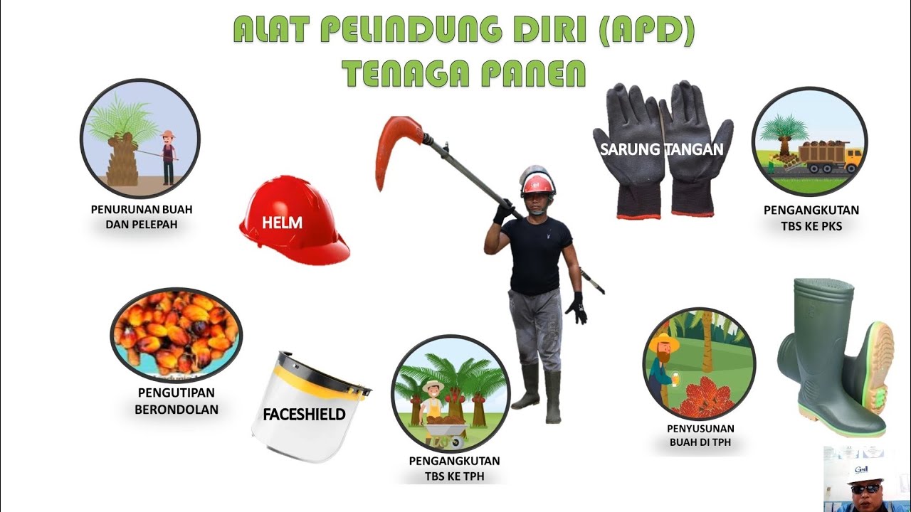 APD TENAGA PANEN PERKEBUNAN KELAPA SAWIT_ SALAM K3 - YouTube