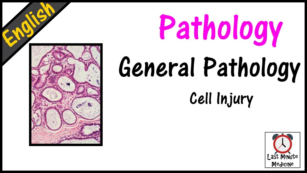 Pathology 02 - Cell Injury - YouTube