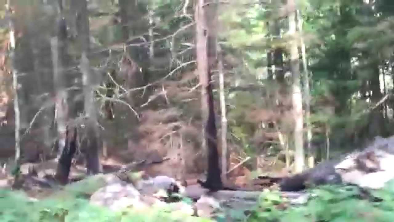 Duck Lake Fire - After footage - YouTube
