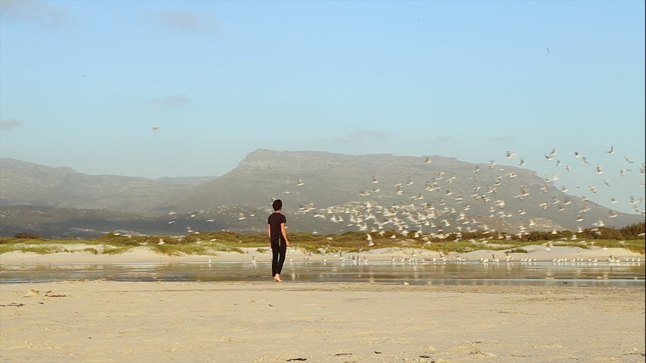 Beach Walk - Ambient Ocean Sounds - YouTube
