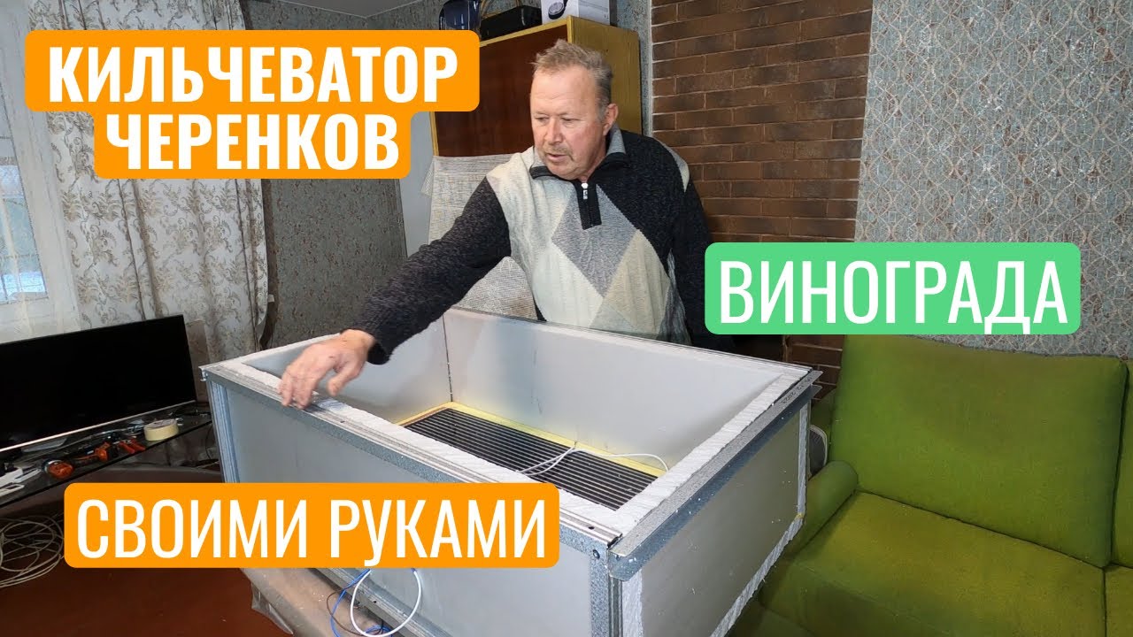 Как ускорить укоренение черенков винограда - Кильчеватор своими руками ...