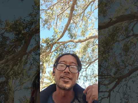 Serious Lee's Live 03072025 3부 - YouTube